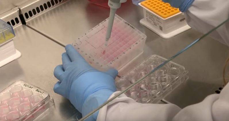 Кичевецот негативен на тестот на мајмунски сипаници - telma.com.mk