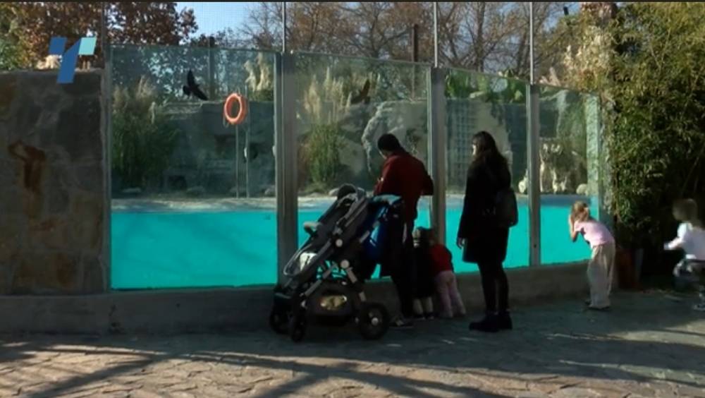 Зоолошката градина повторно ги отвори вратите за посетителите - telma ...