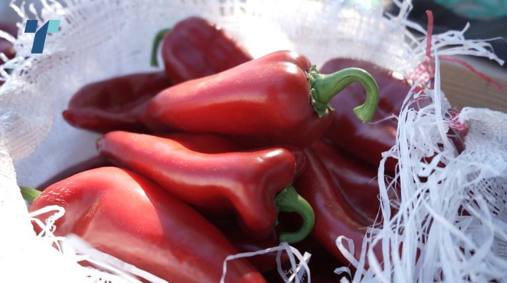 Откриен инсектицид метомил во ајварките од Македонија - RASFF наложи ...